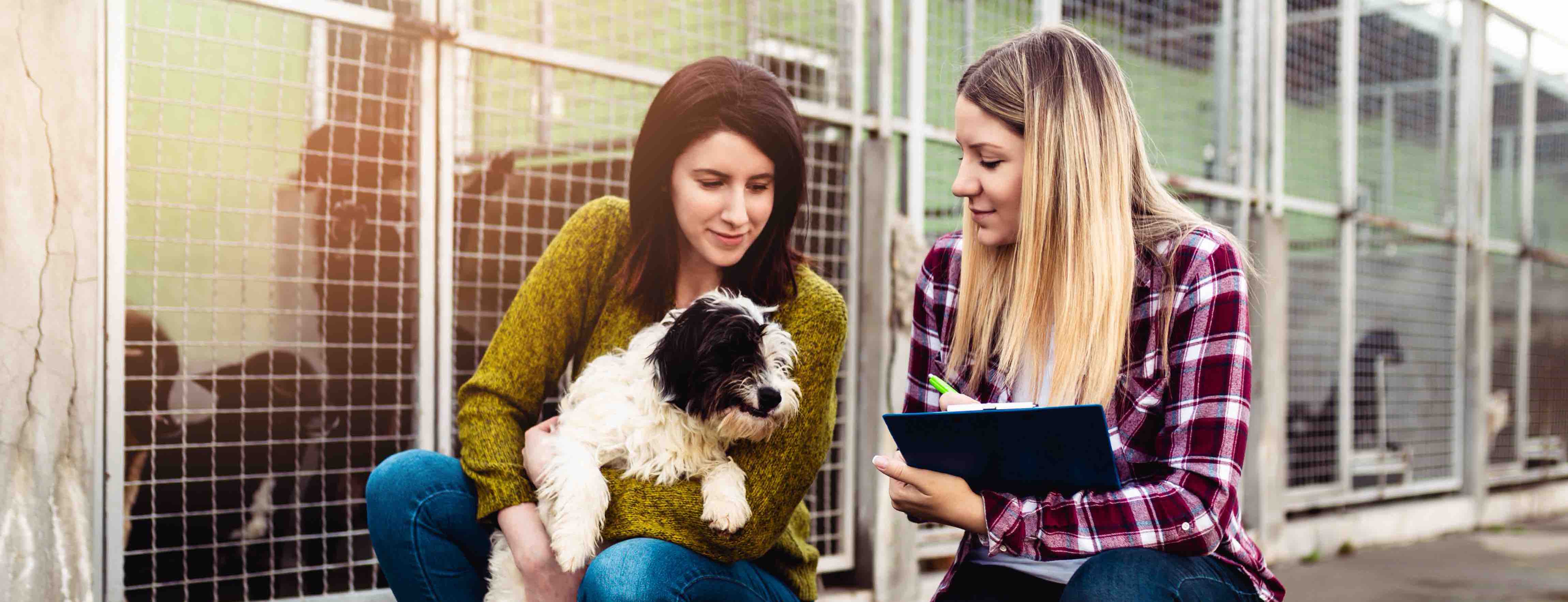 Agir pour la protection animale à Noël - Le Fonds Saint-Bernard